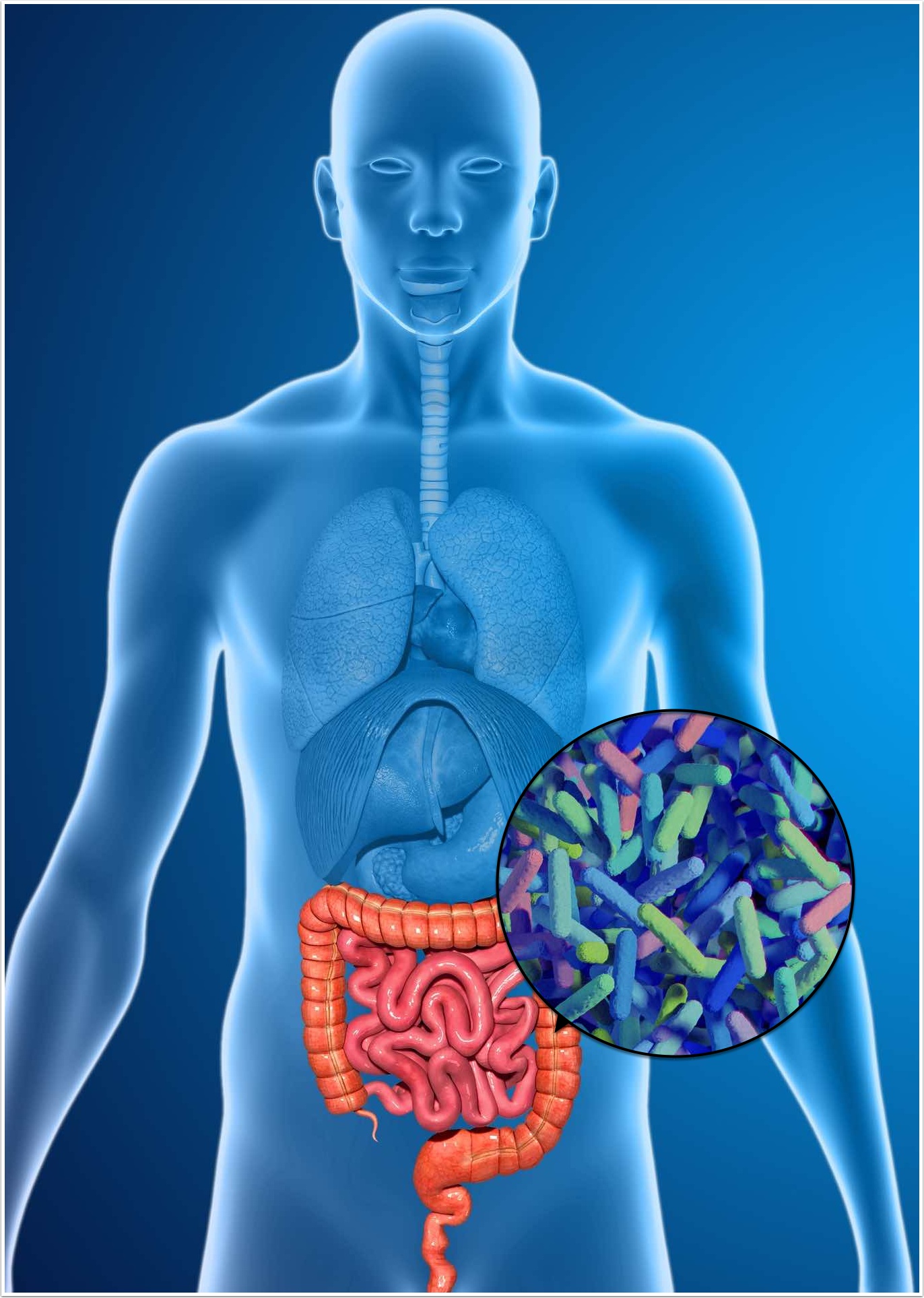 Microbioma - Foto editada - Mente Saudável